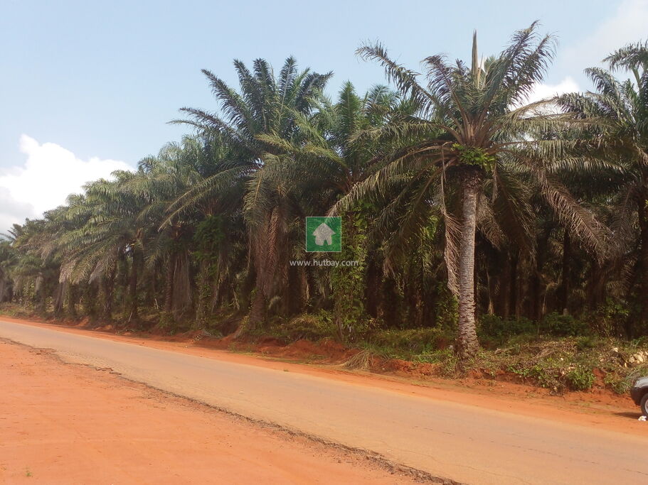 Land For sale at Benin, Edo | Hutbay