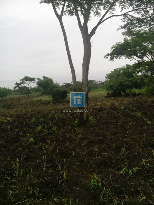 Land at Odeda Ogun | Hutbay